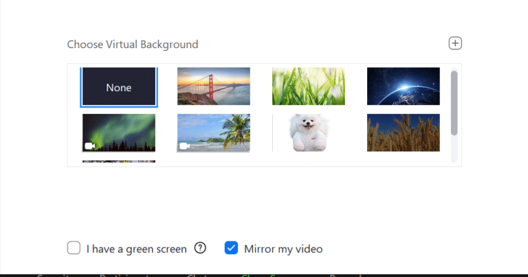 How to Set Up a Zoom Virtual Background (Windows/Mac) - Webaround ...